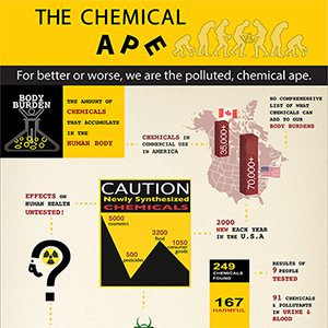 Man The Chemical Ape - Nursing School Hub