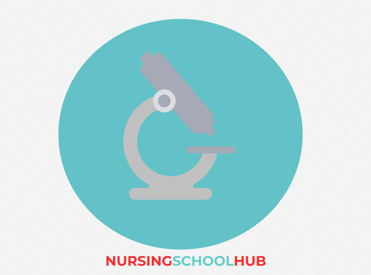 25 Highest Paying Nursing Specialties - Nursing School Hub